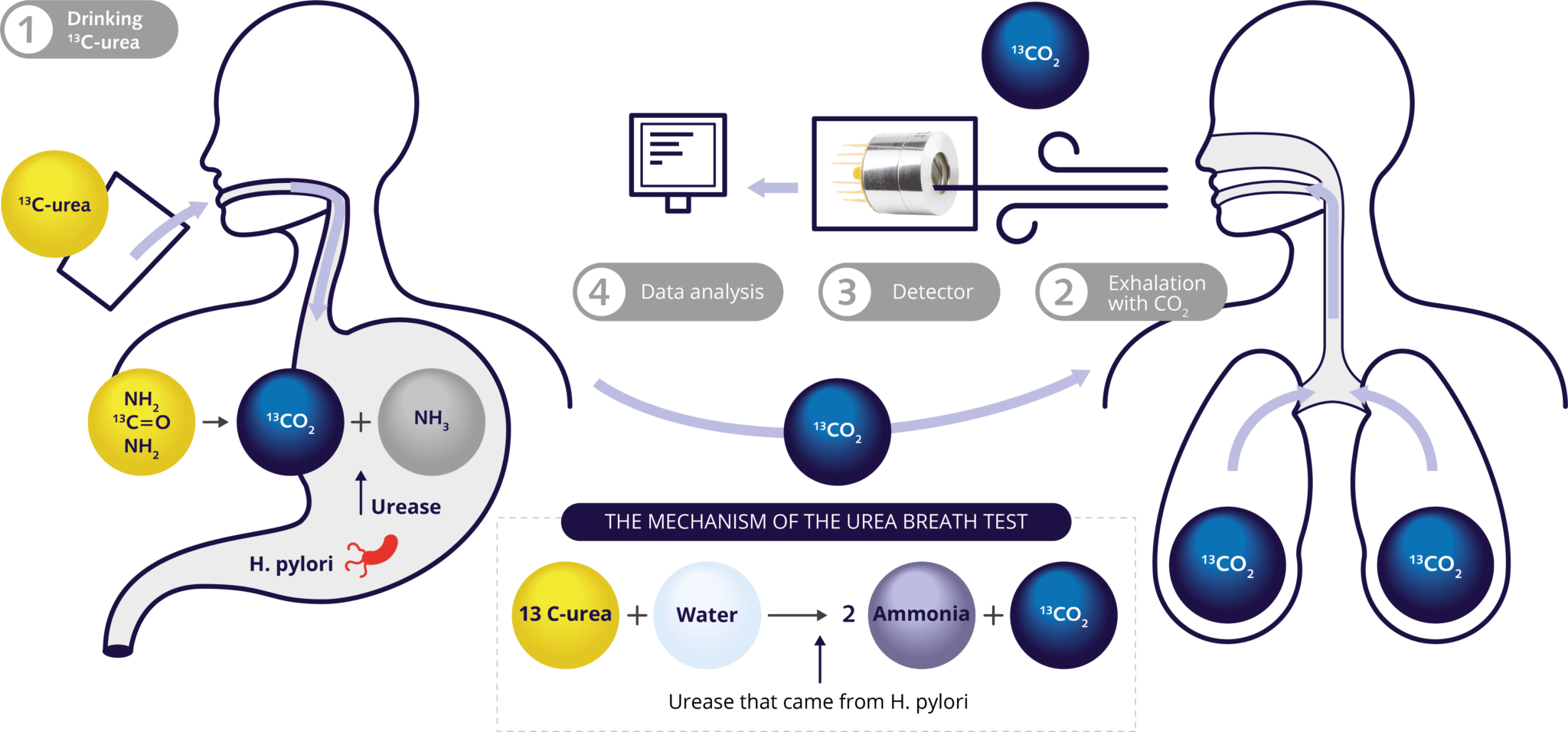 Medical Applications - VIGO Photonics